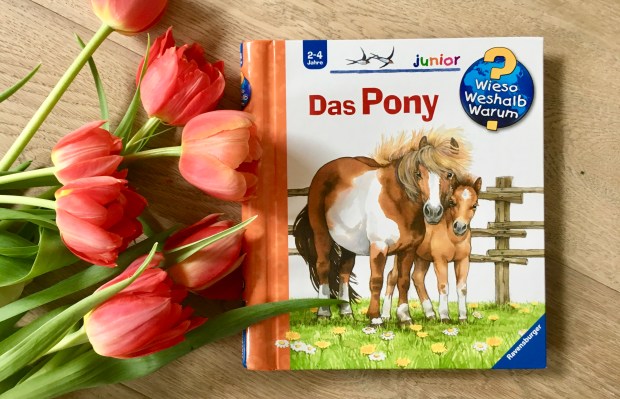 Das Pony | Nur-noch-ein-bisschen...